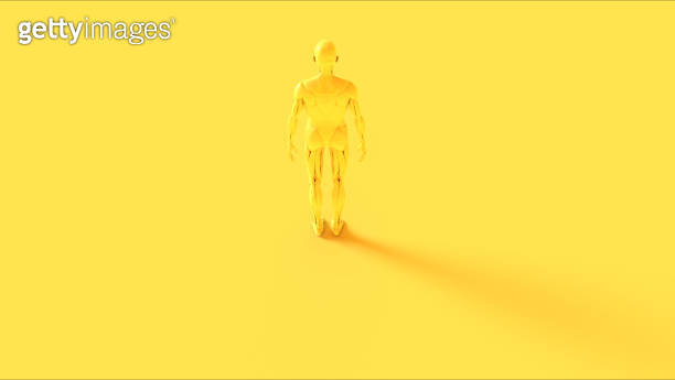 Yellow Ecorche Half Skeletal System Half Muscle System Anatomical Model ...