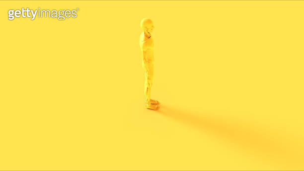 Yellow Ecorche Half Skeletal System Half Muscle System Anatomical Model ...