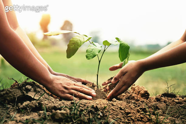 mother with children helping planting tree in nature for save earth ...
