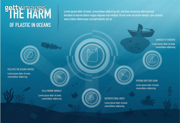 The harm of plastic in oceans infographic for education, presentation ...