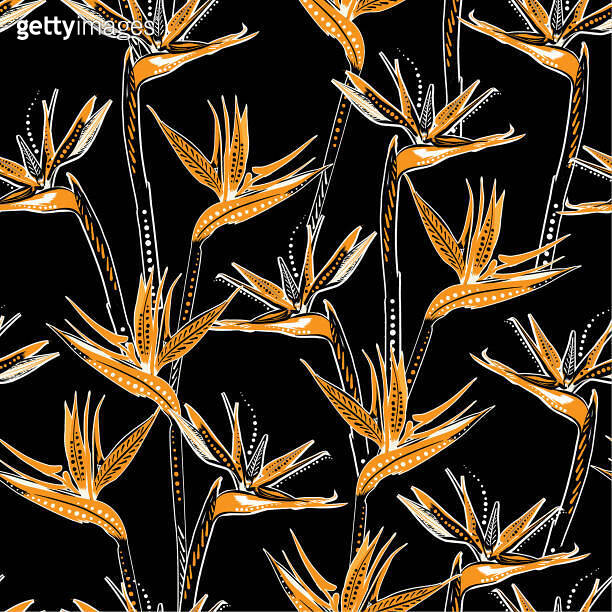 Trendy hand drawn brid of paradise tropical flower in dark tropical ...