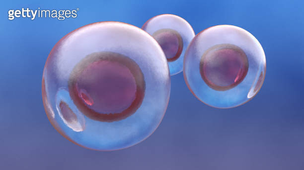 Blue Stem Cell 이미지 (1292821100) - 게티이미지뱅크