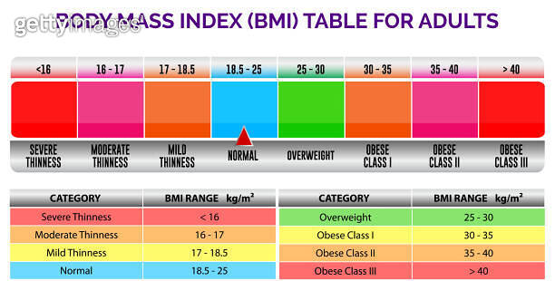 bmi index scale classification or body mass index chart information concept. 이미지 (1221504133 ...