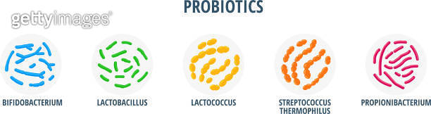 Probiotics types: Bifidobacterium, Lactobacillus, Lactococcus ...