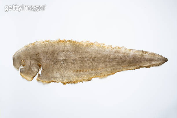A full fish skin close-up。Dried fish skin closeup (1207171524) - 게티이미지뱅크