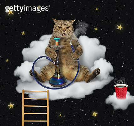 Cat smoking hookah on cloud 이미지 (1279461112) - 게티이미지뱅크