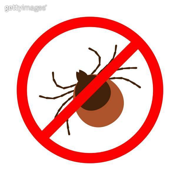 Symbol parasite warning sign. Mite spider. Mite red. Mite allergy ...