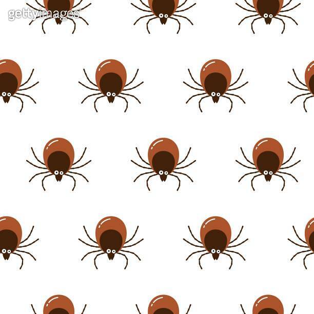 Seamless pattern brown tick insect icon isolated on white background ...