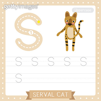Letter S uppercase tracing practice worksheet of Serval Cat (1251737537 ...