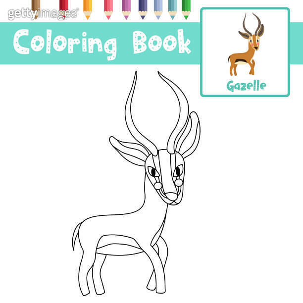 Coloring page Gazelle animal cartoon character vector illustration 이미지 ...