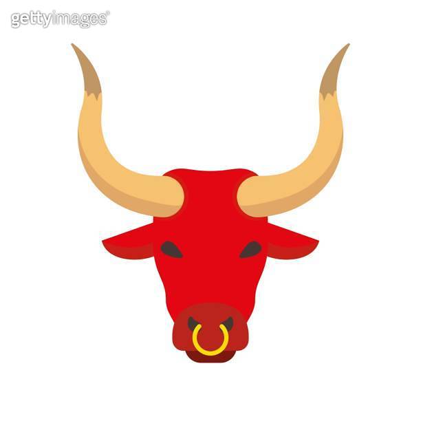 Ox bullock. Bovinae family domestic bull with big horns and nose ring ...
