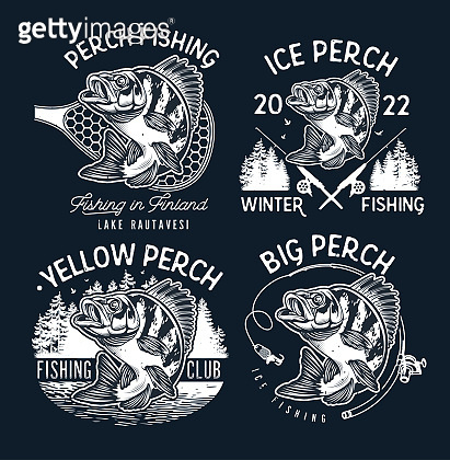Eurasian River Perch Fish.Yellow Perch Fishing Club Emblem. Bass ...