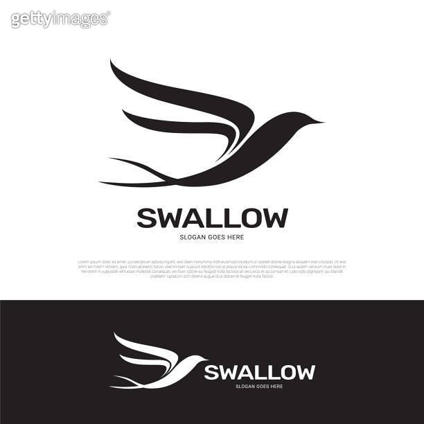 Swallow logo icon symbol design 이미지 (1291907373) - 게티이미지뱅크