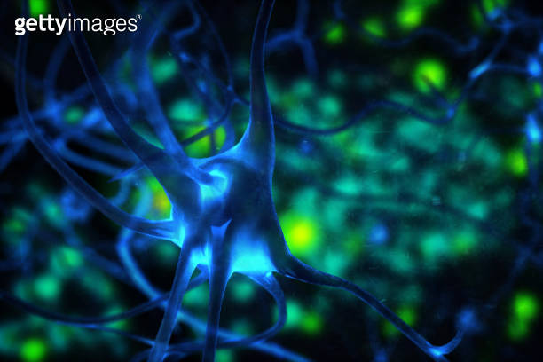 Nerve Cell 3D BCI idea Biomedical Illustration 이미지 (1197471239) - 게티이미지뱅크