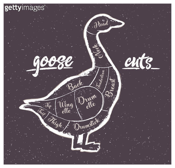 Goose silhouette, with the line of cutting for the butcher 이미지 ...