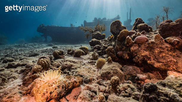 Ship wreck "Tugboat" in shallow water of coral reef in Caribbean sea ...