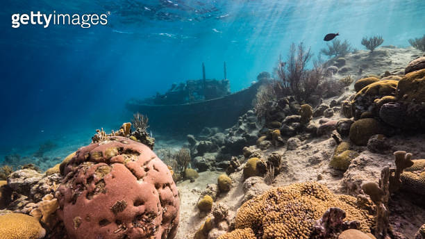 Ship wreck "Tugboat" in shallow water of coral reef in Caribbean sea ...