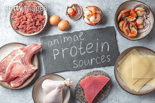 Animal protein sources background with copy space. Carnivore diet ...