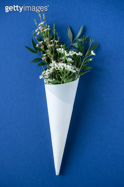 white flowers in paus tracing paper cone on blue background 이미지 ...