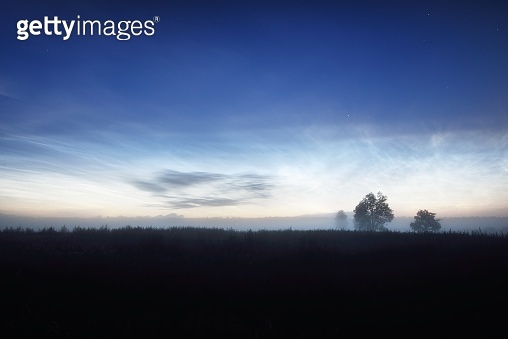 Starry sky with noctilucent clouds above the country field at summer ...