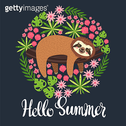Sloth on the branch. Vector illustration with frame of leaves, flowers ...