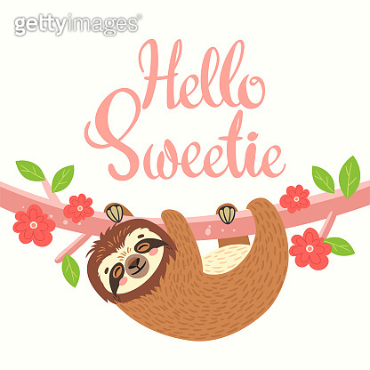 Sleeping sloth on the branch. Vector illustration with bear, leaves ...