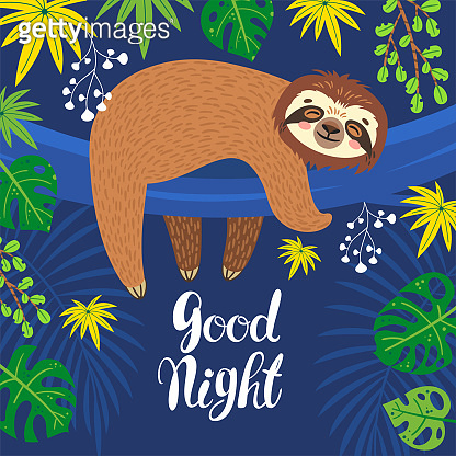 Sloth on the branch. Vector illustration with palm and monstera leaves ...