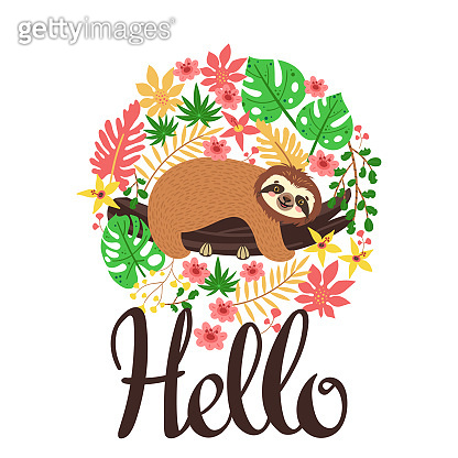 Sleeping sloth on the branch. Vector illustration with frame of leaves ...