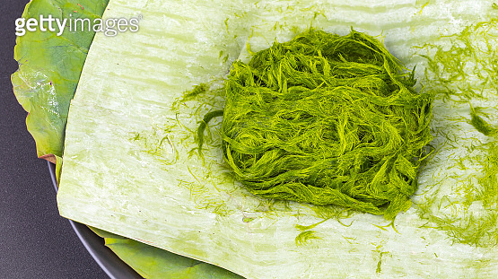 Freshwater green algae scientific name is Spirogyra sp. on banana leaf ...