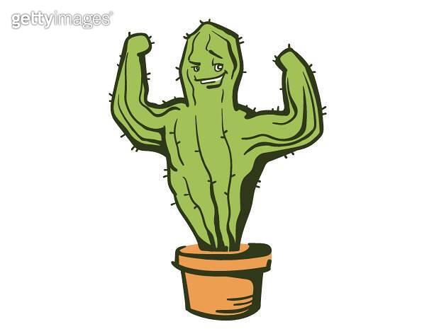 Cactus show muscle biceps. Vector color cartoon illustration islated on ...