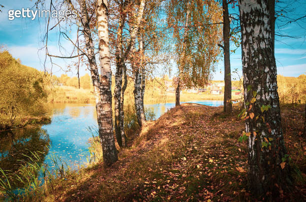 Sunny autumn landscape with pond in city park and bare trees during ...
