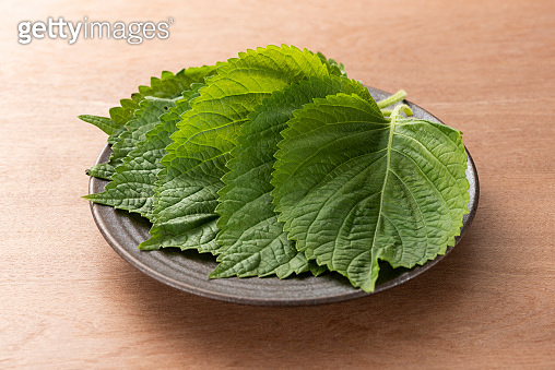 EGOMA, Perilla frutescens, Edible leaves eaten in Japan and Asia ...