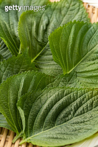 EGOMA, Perilla frutescens, Edible leaves eaten in Japan and Asia ...