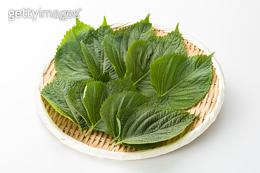 EGOMA, Perilla frutescens, Edible leaves eaten in Japan and Asia ...