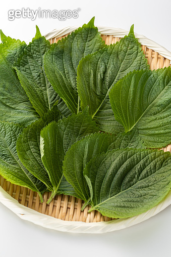 EGOMA, Perilla frutescens, Edible leaves eaten in Japan and Asia ...