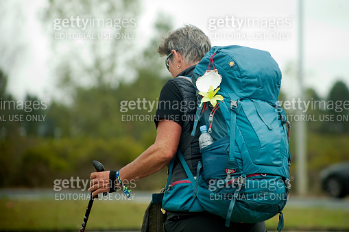 Pilgrim in the 'camino de santiago', backpack and scallop shell symbol ...
