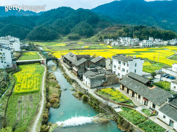 Overlooking the ancient village of yellow rapeseed fields, Hongguan ...