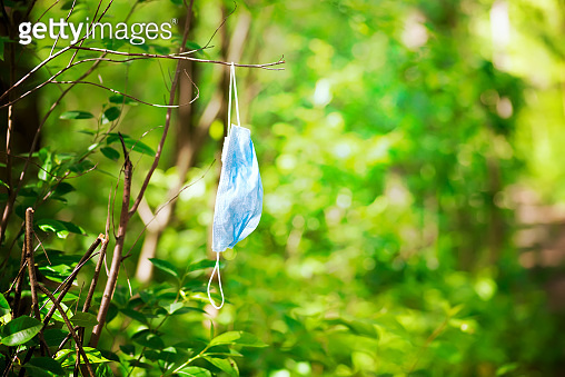 Face medical mask is hanging on a bush on a blurred background of green ...