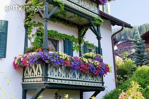 Traditional tirol house balcony decorated with varieties of petunia and ...