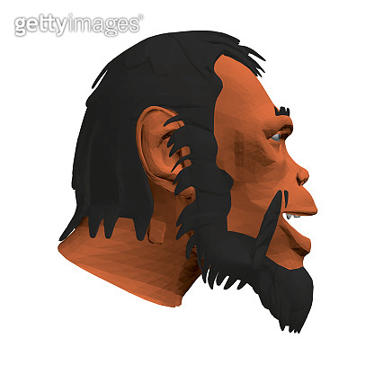 Low poly head of a Neanderthal man. Polygonal head of a prehistoric man ...