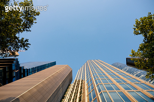 View to the top of high-rise buildings in Frankfurt 이미지 (1267728246 ...