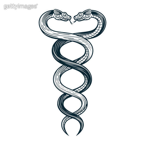 Two twisted snakes. (1217756792) 일러스트, 무료 일러스트, 아이콘, 무료 아이콘 - 게티이미지뱅크