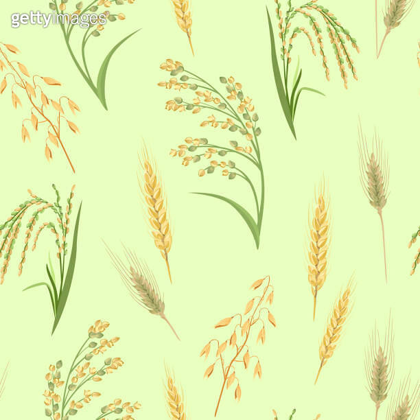 Cereal Plants seamless pattern on green background. Spikelets of Wheat ...