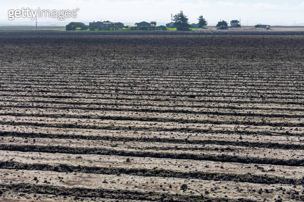 Empty soil lines on an agricultural field in early spring. Plowed dirt ...