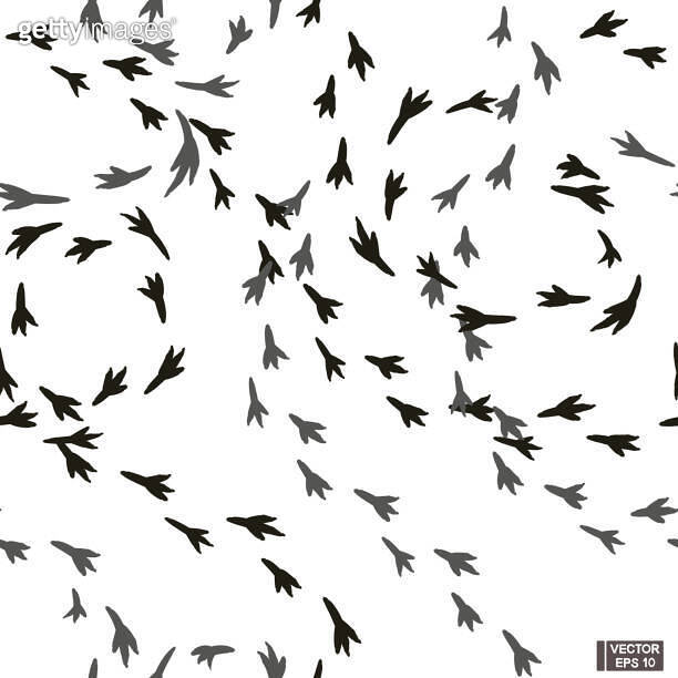 Black and white bird tracks silhouette seamless patterns 이미지 ...