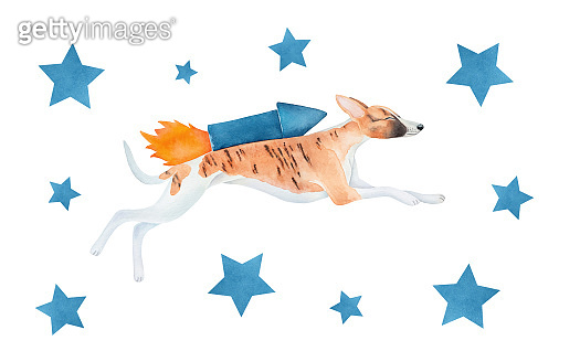 Water color illustration set with cute flying whippet dog and navy blue ...