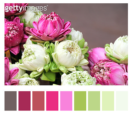Color matching palette with complimentary colour swatches 이미지 ...