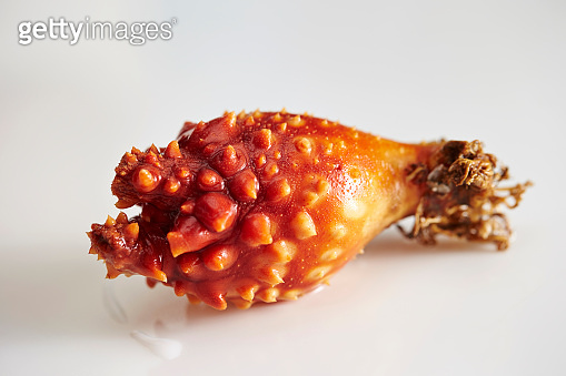 Sea pineapple 이미지 (1221587524) - 게티이미지뱅크