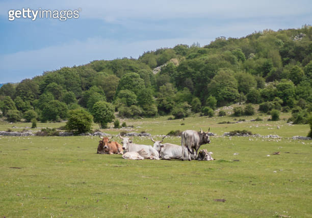 Monte Gennaro (Rome, Italy) The peak in the Monti Lucretili mountains ...