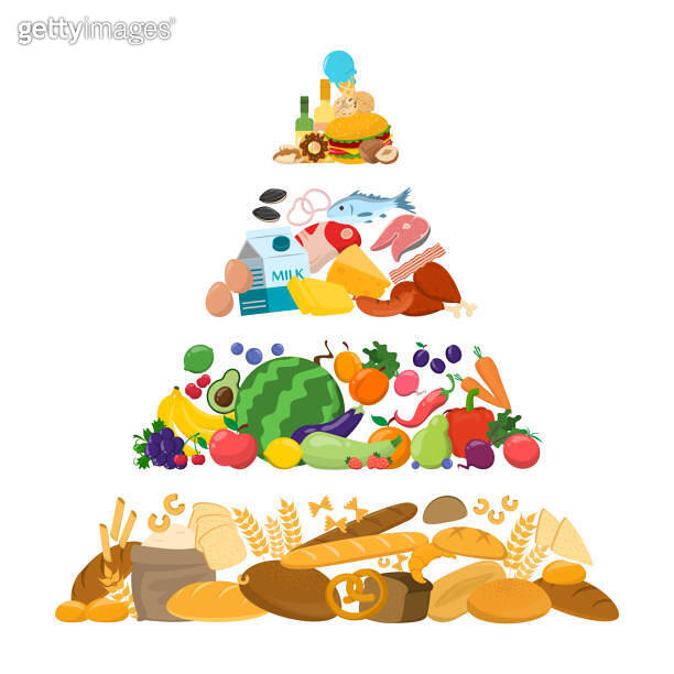Food pyramid vector isolated. Bread and cereal 이미지 (1215090965) - 게티이미지뱅크